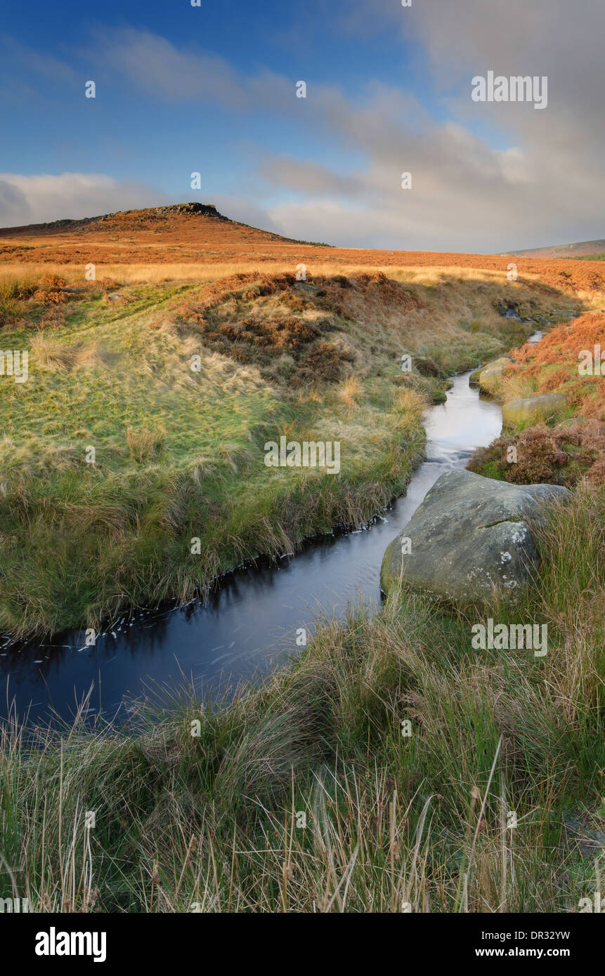 Higger hi-res stock photography and images - Alamy