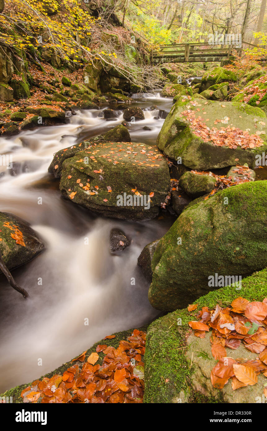 Padley Gorge in the Autumn Stock Photo - Alamy