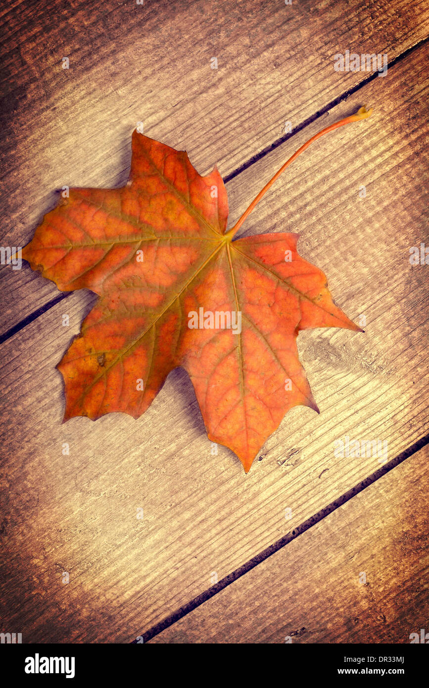 Rustic leaf hi-res stock photography and images - Alamy