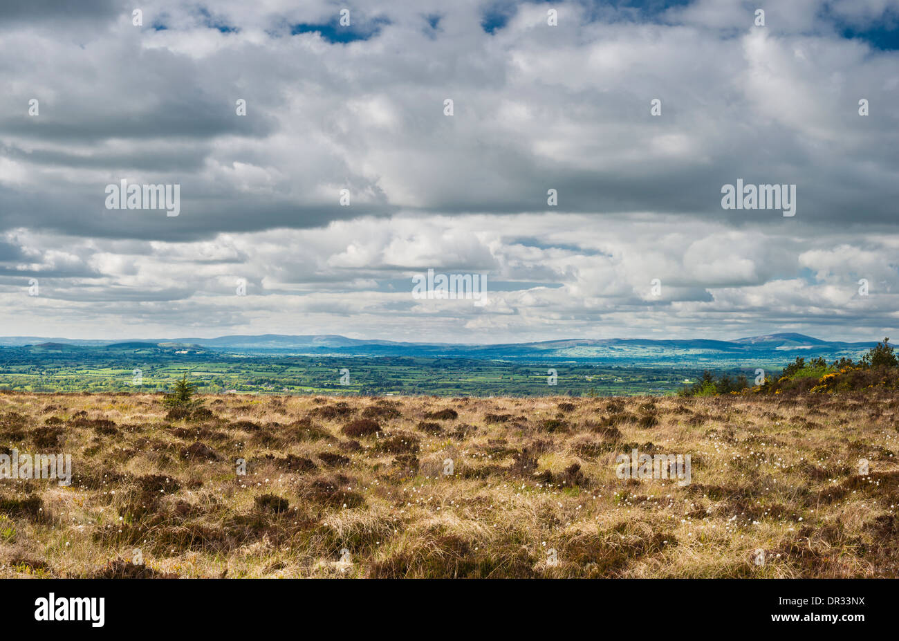 View northwards from Slievenamuck, Glen of Aherlow, County Tipperary ...