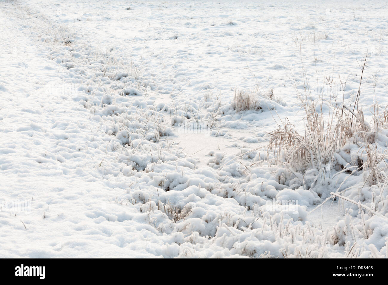 Wintry field hi-res stock photography and images - Alamy