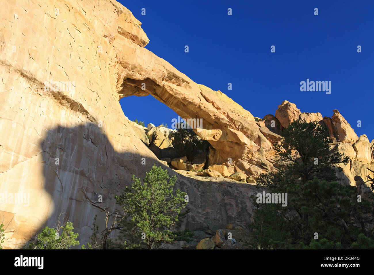 Largest arch (50 ft. span) in Las Ventanitas area, El Malpais National ...