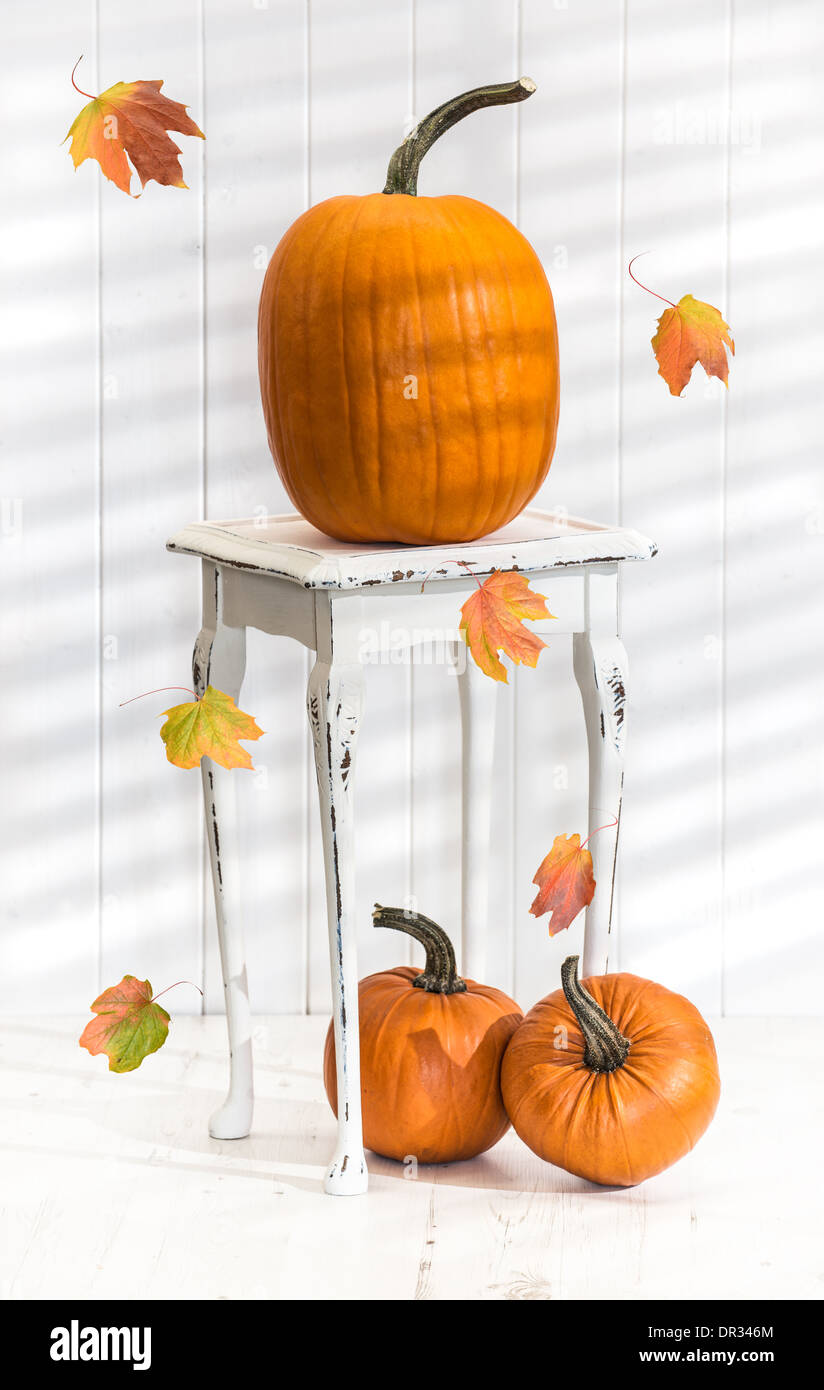 Pumpkin display on rustic table with fall leaves Stock Photo - Alamy