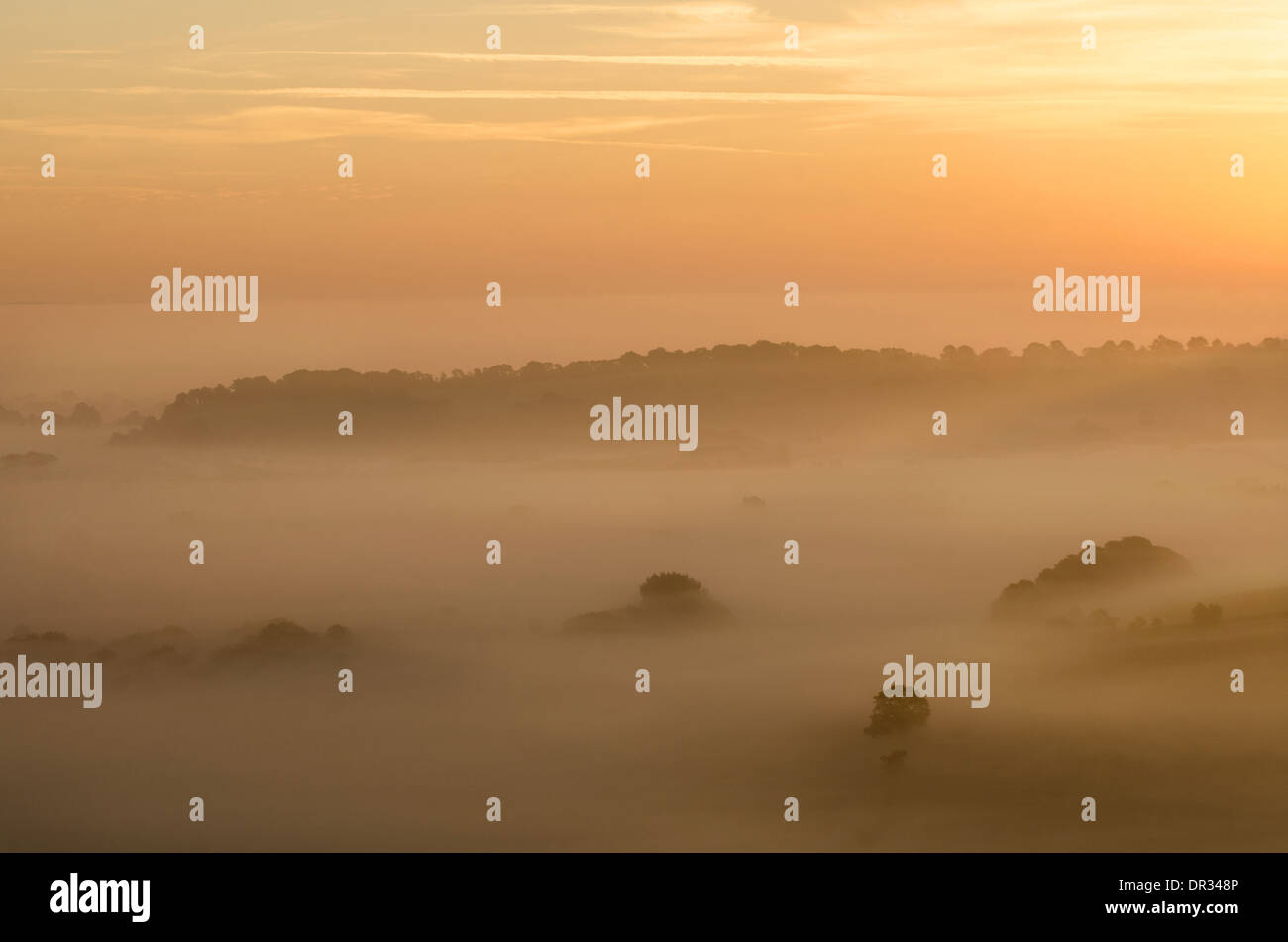 Stunning mist in the South Downs National Park at sunrise Stock Photo ...