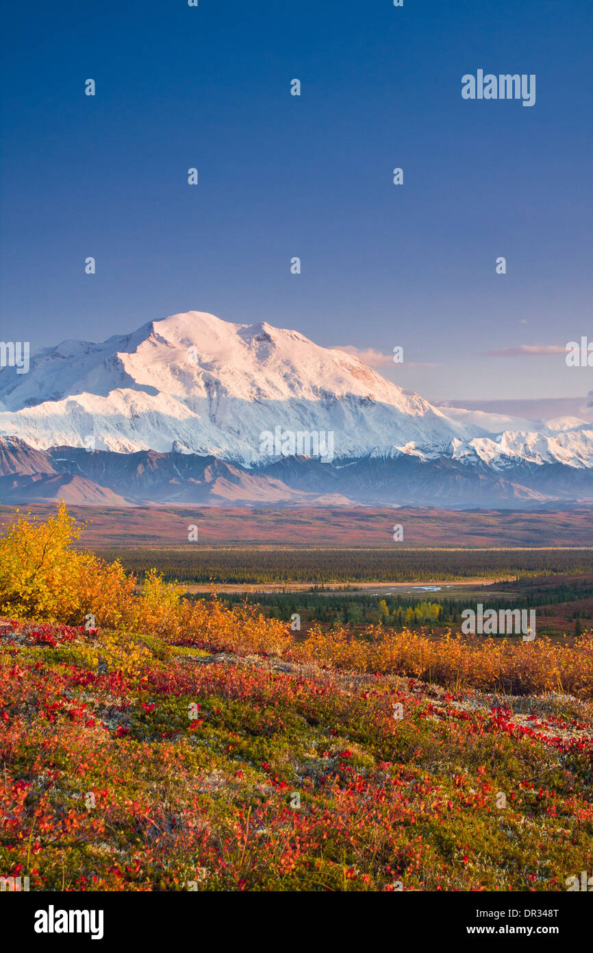 Evening light on north face of Denali (formerly Mt. McKinley) with fall ...