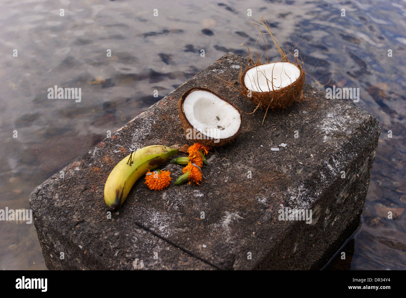 Coconut and banana offerings to hindu God at the main Hindu Temple in ...