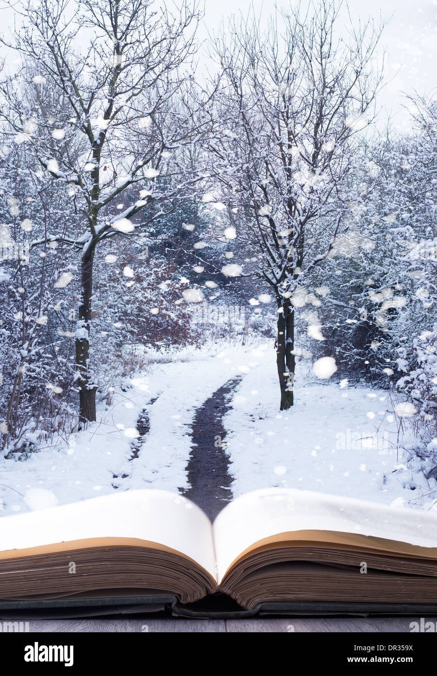Open book with winter woodland background and falling snow Stock Photo ...