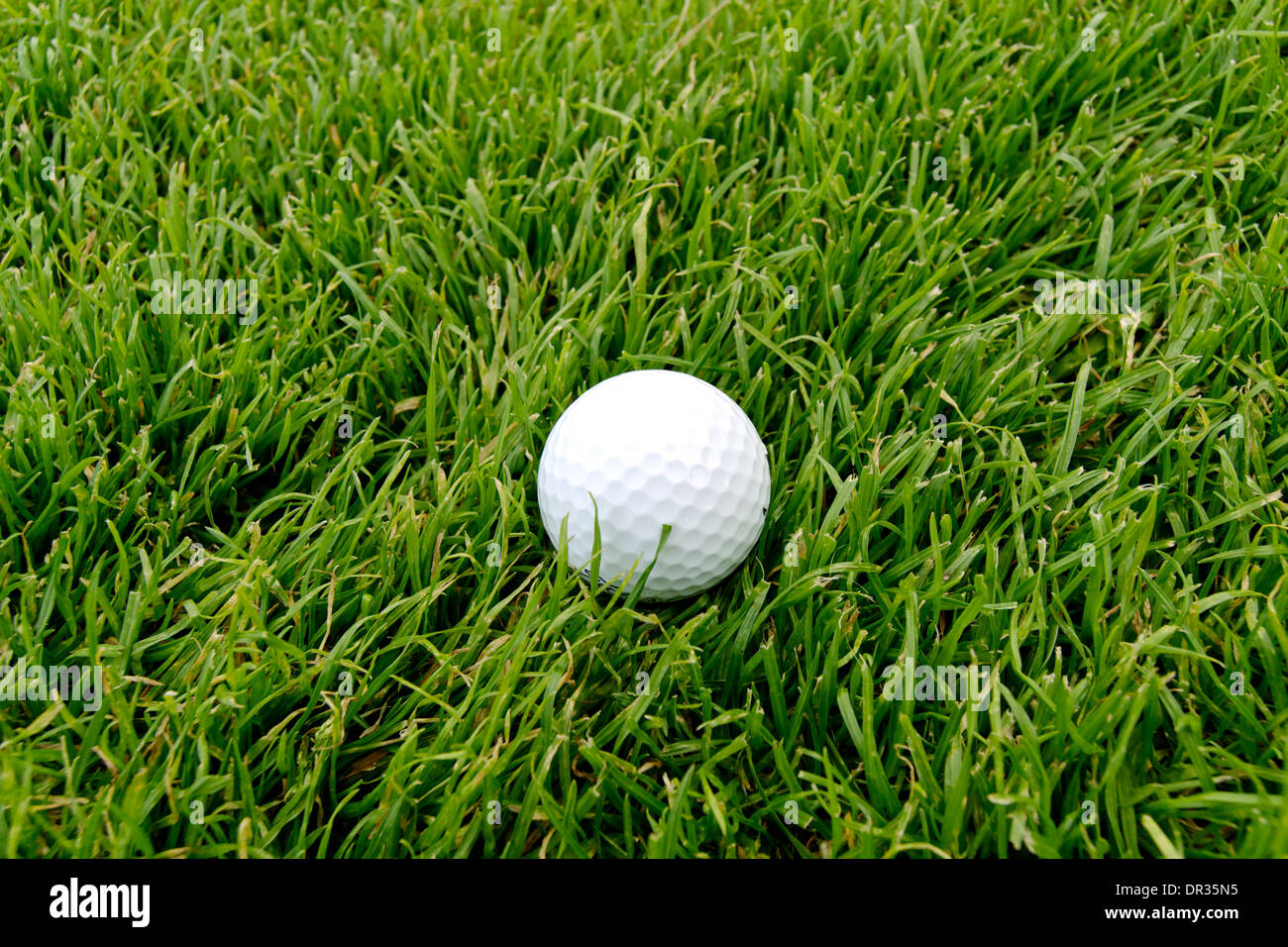 Golf ball on golf course Stock Photo - Alamy