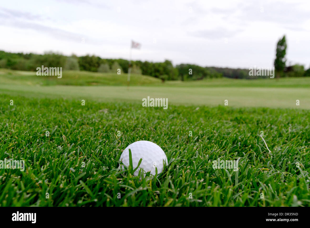 Golf ball on golf course Stock Photo - Alamy