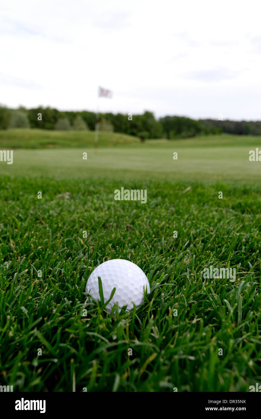 Golf ball on golf course hi-res stock photography and images - Alamy