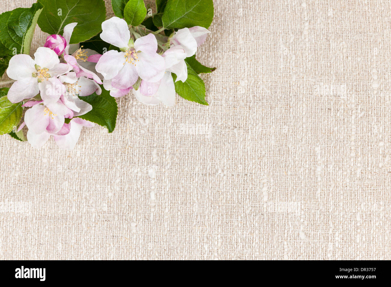 Linen background hi-res stock photography and images - Alamy