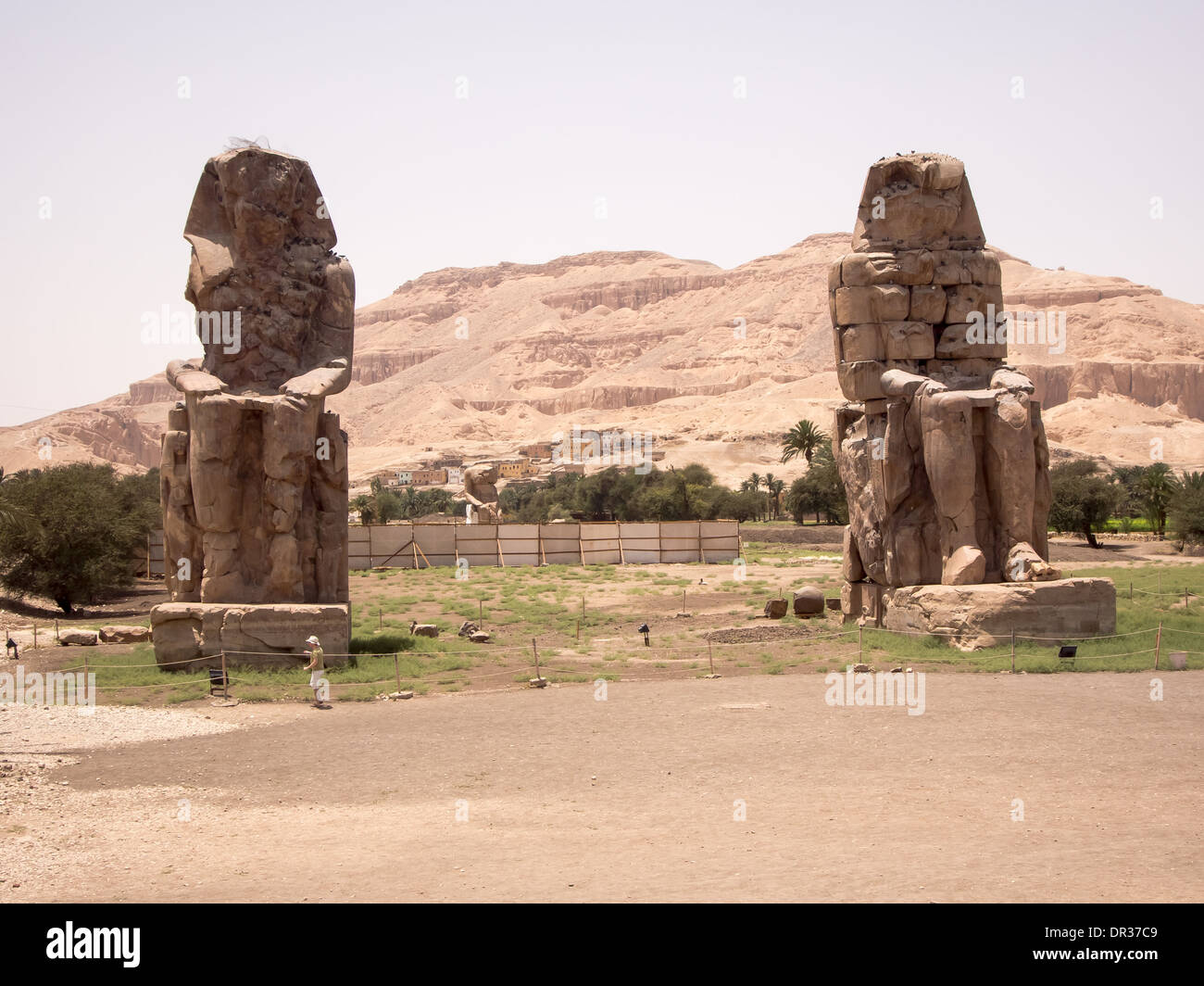 The Colossi of Memnon, Luxor, Egypt Stock Photo - Alamy
