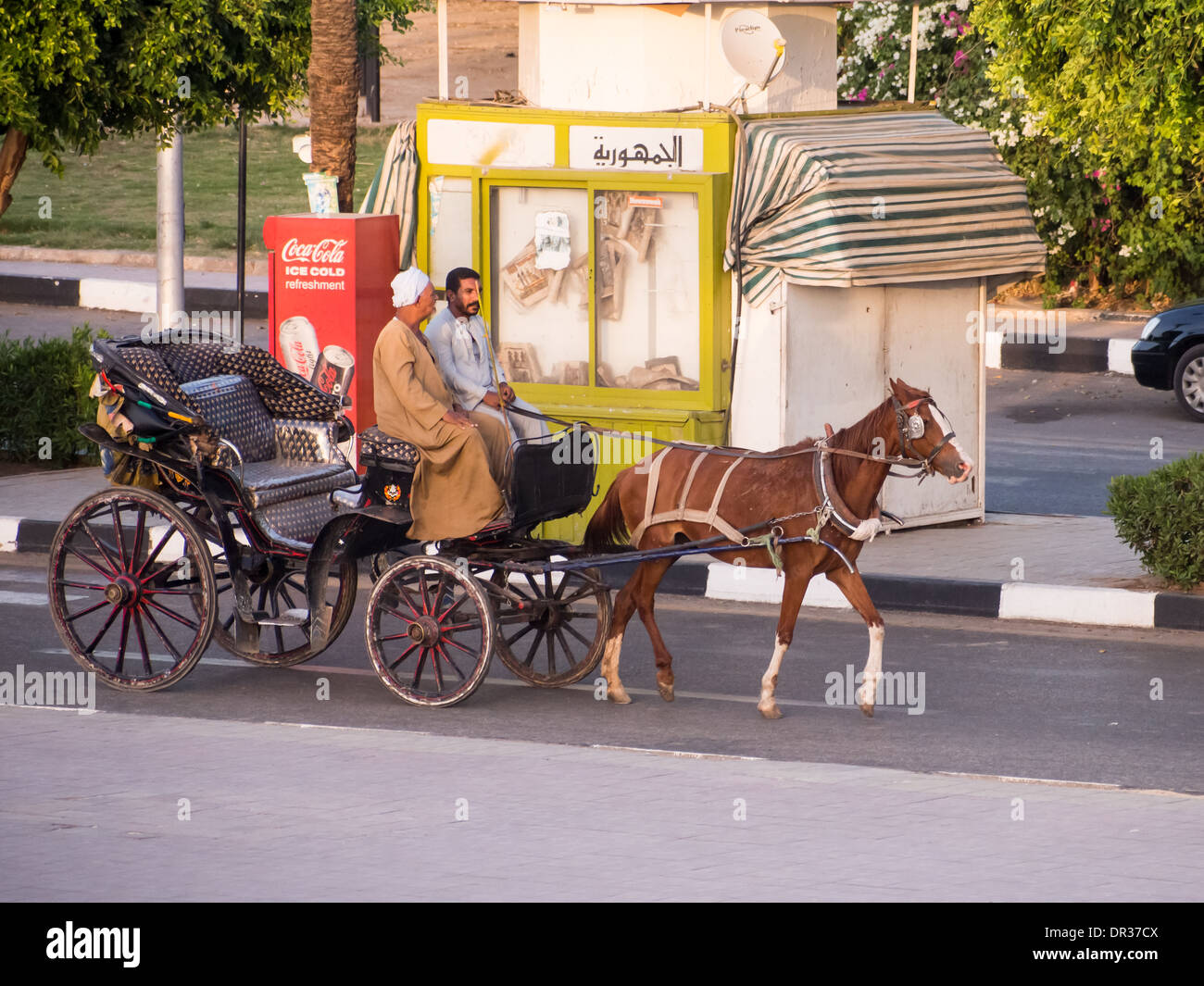 Caleche egypt hi-res stock photography and images - Alamy