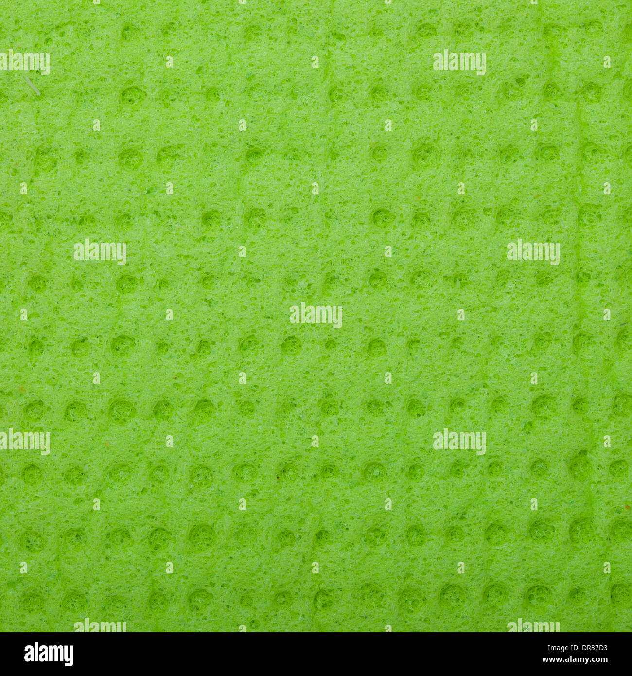 Closeup of vivid green sponge as background texture pattern. Macro ...