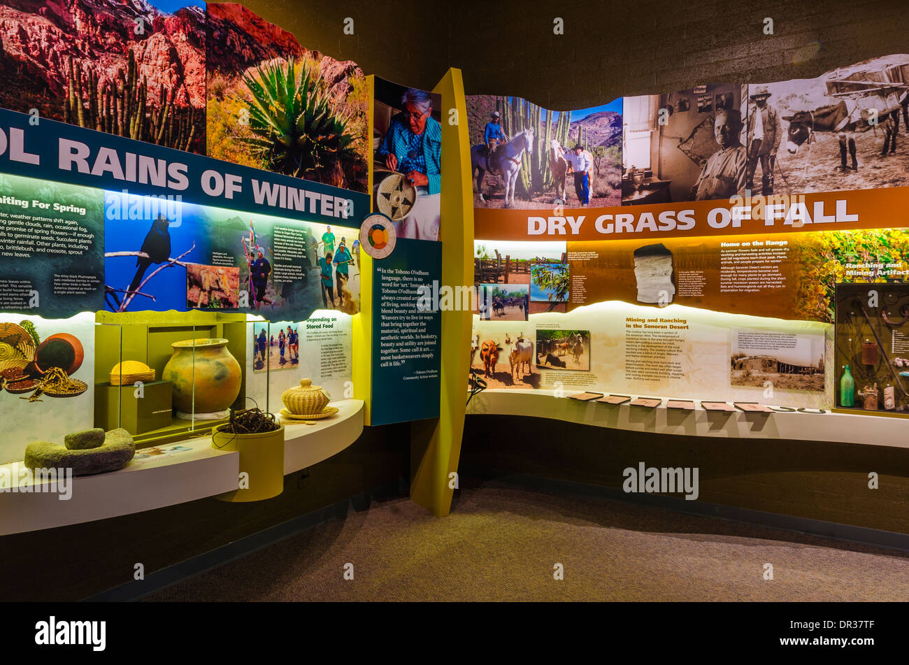Visitor center interpretive display, Organ Pipe Cactus National ...