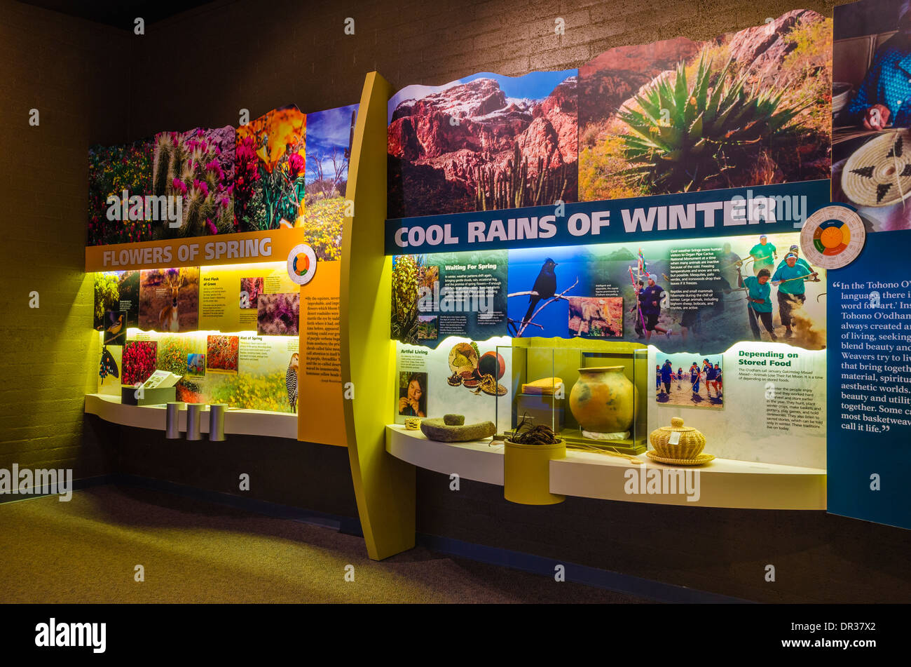 Visitor center interpretive display, Organ Pipe Cactus National ...