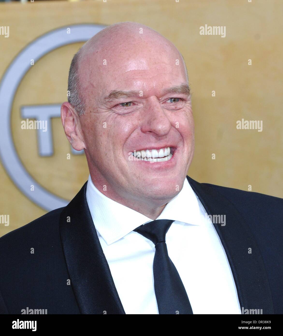 Los Angeles, CA, USA. 18th Jan, 2014. Dean Norris at arrivals for The ...