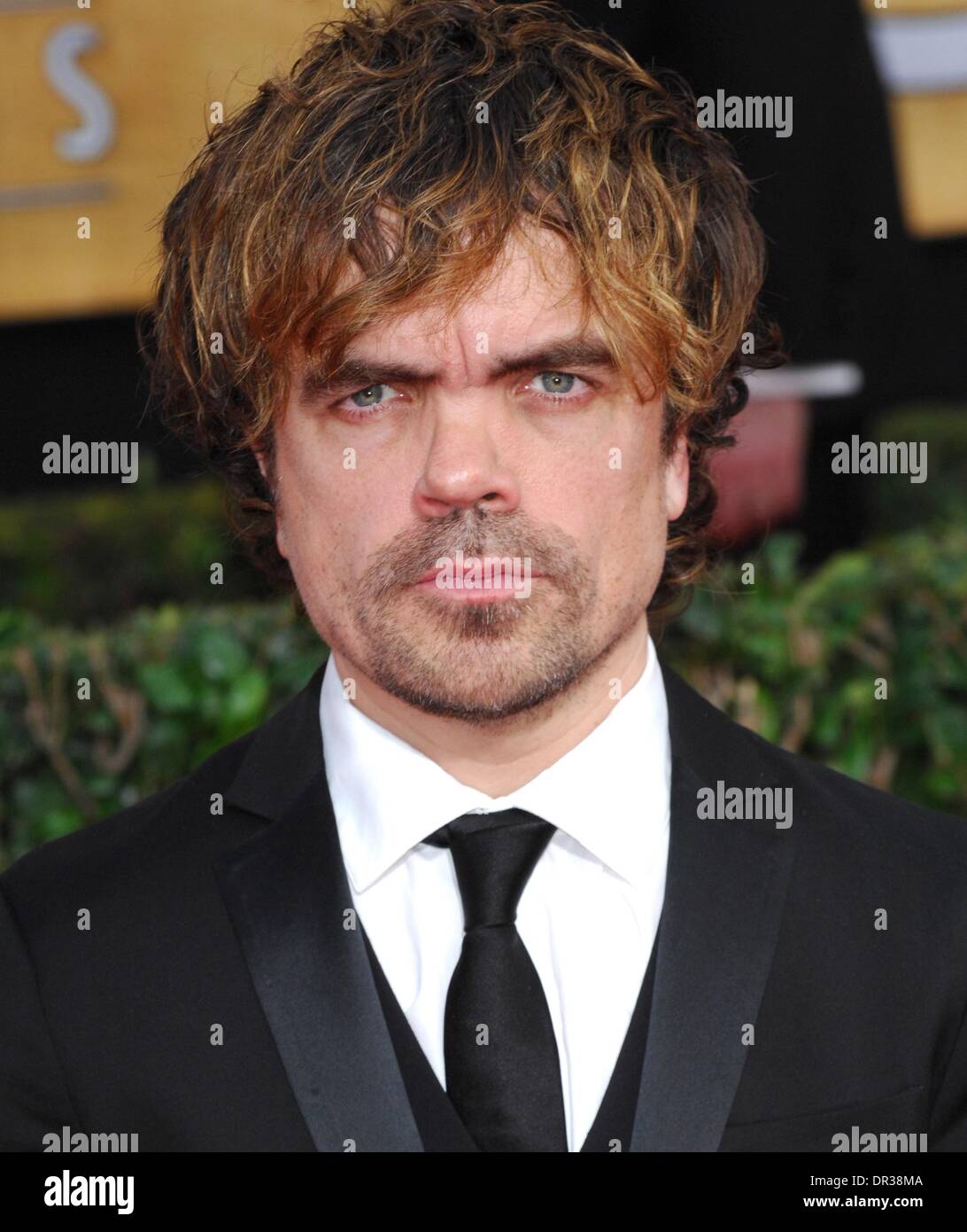 Los Angeles, CA, USA. 18th Jan, 2014. Peter Dinklage at arrivals for ...