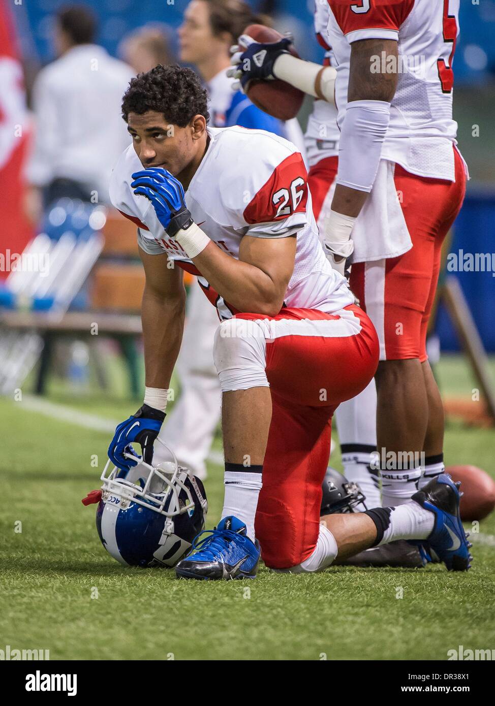 Blue cockrell hi-res stock photography and images - Alamy