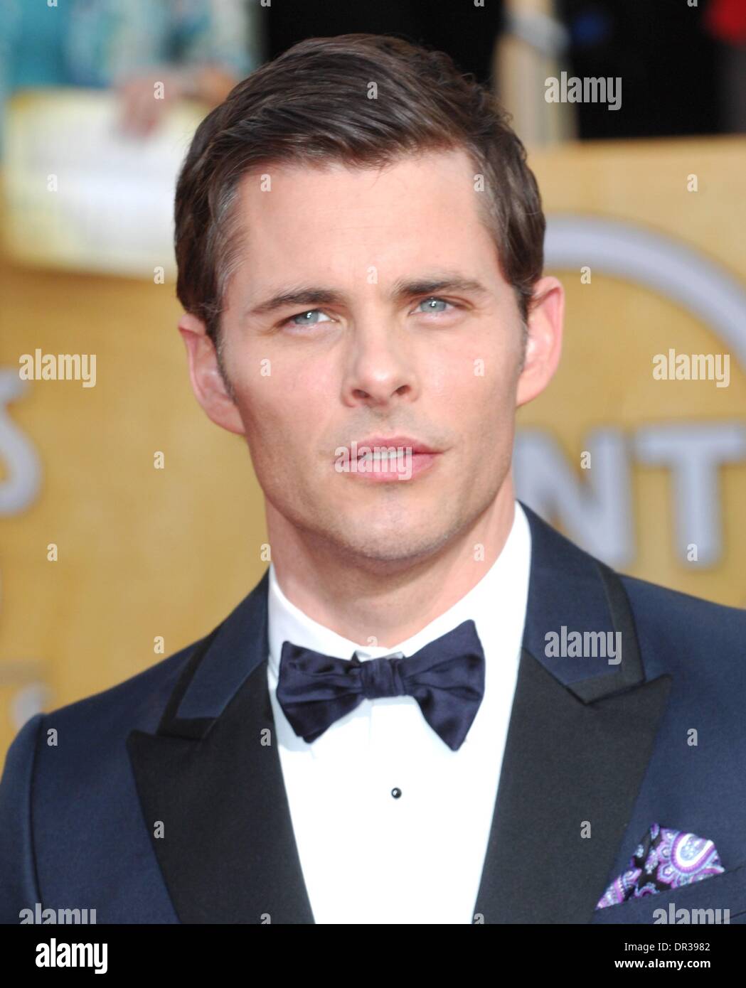 Los Angeles, CA, USA. 18th Jan, 2014. James Marsden at arrivals for The ...