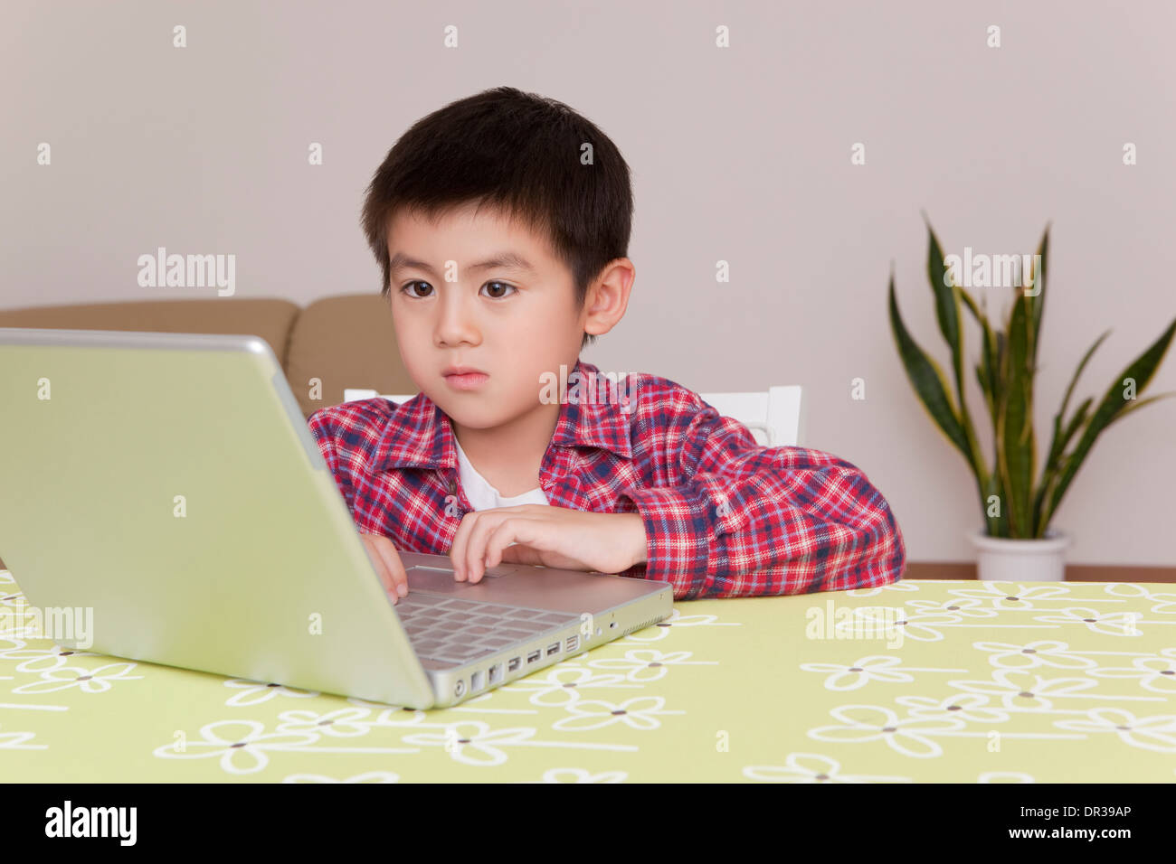 Boy using laptop Stock Photo - Alamy