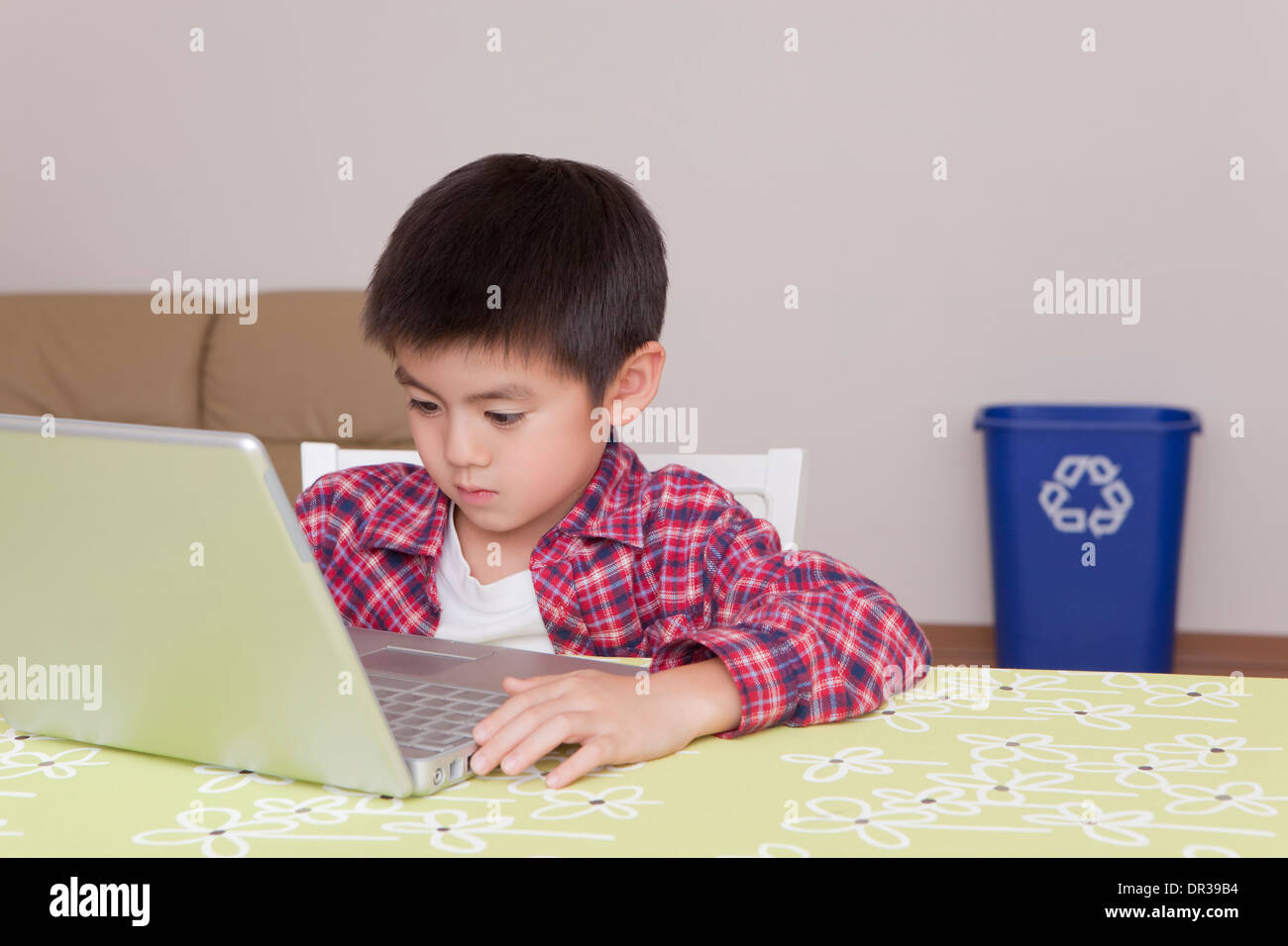 Boy using laptop Stock Photo - Alamy