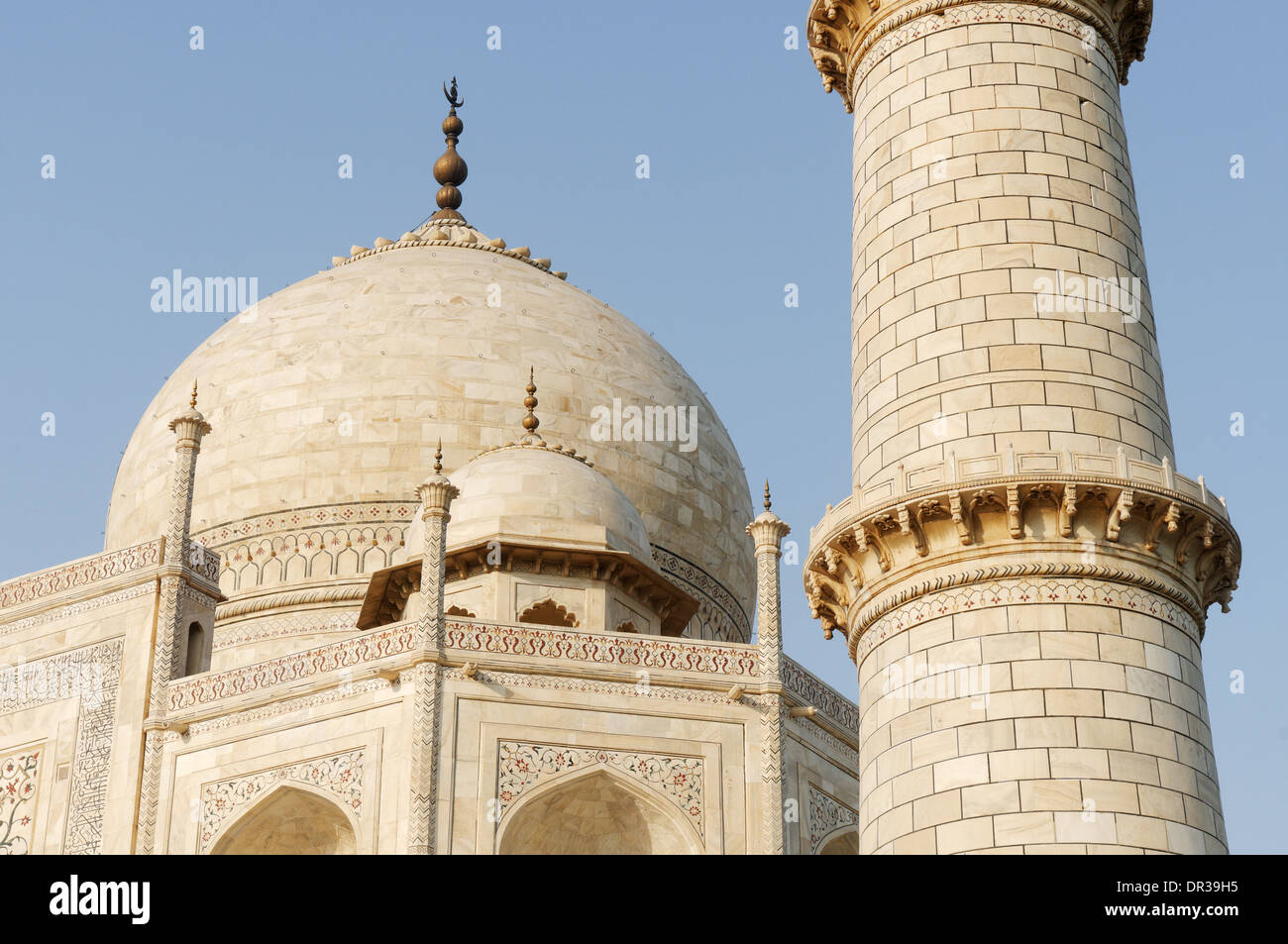 Details of the Taj Mahal Stock Photo - Alamy