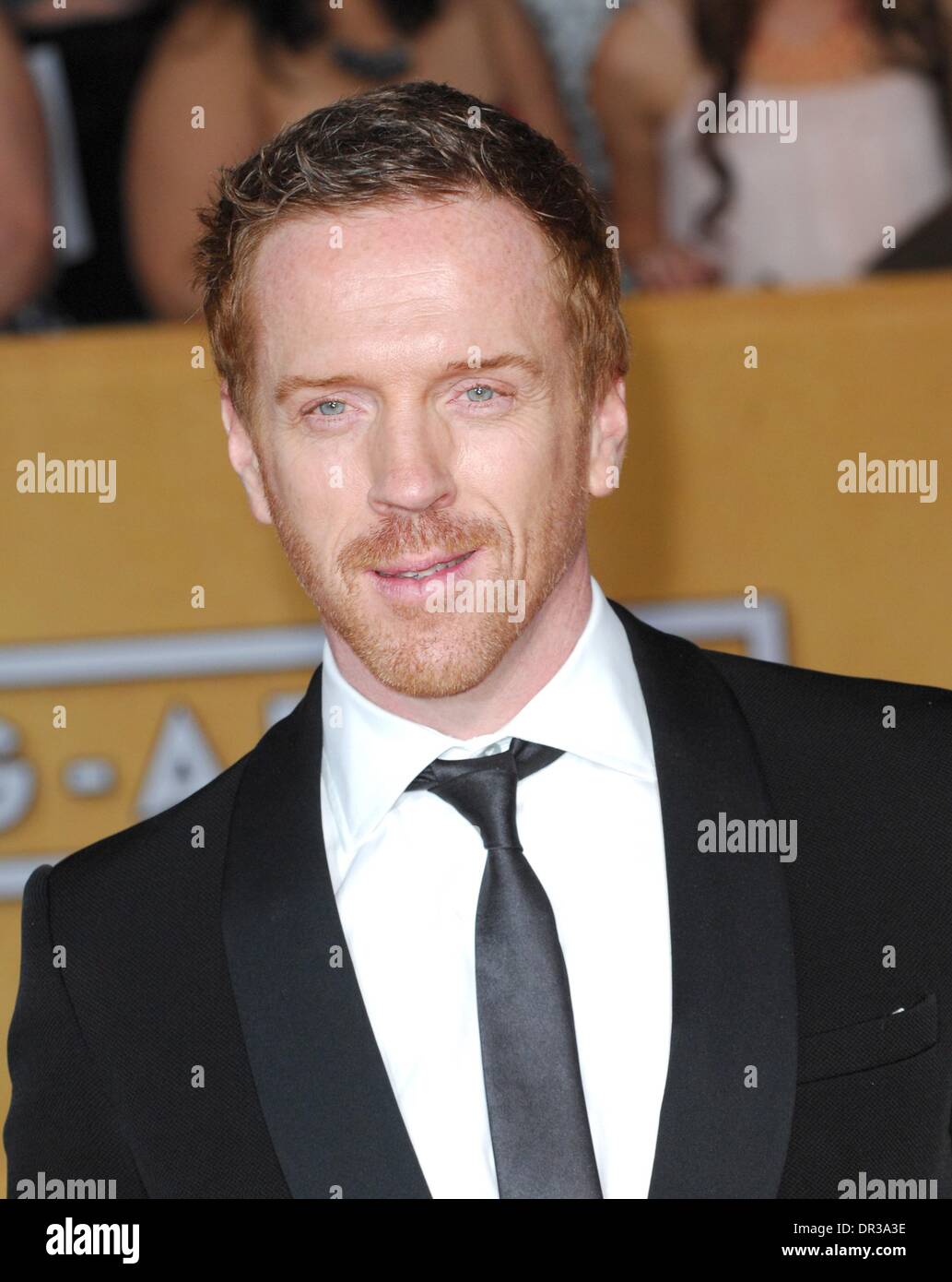Los Angeles, CA, USA. 18th Jan, 2014. Damian Lewis at arrivals for The ...