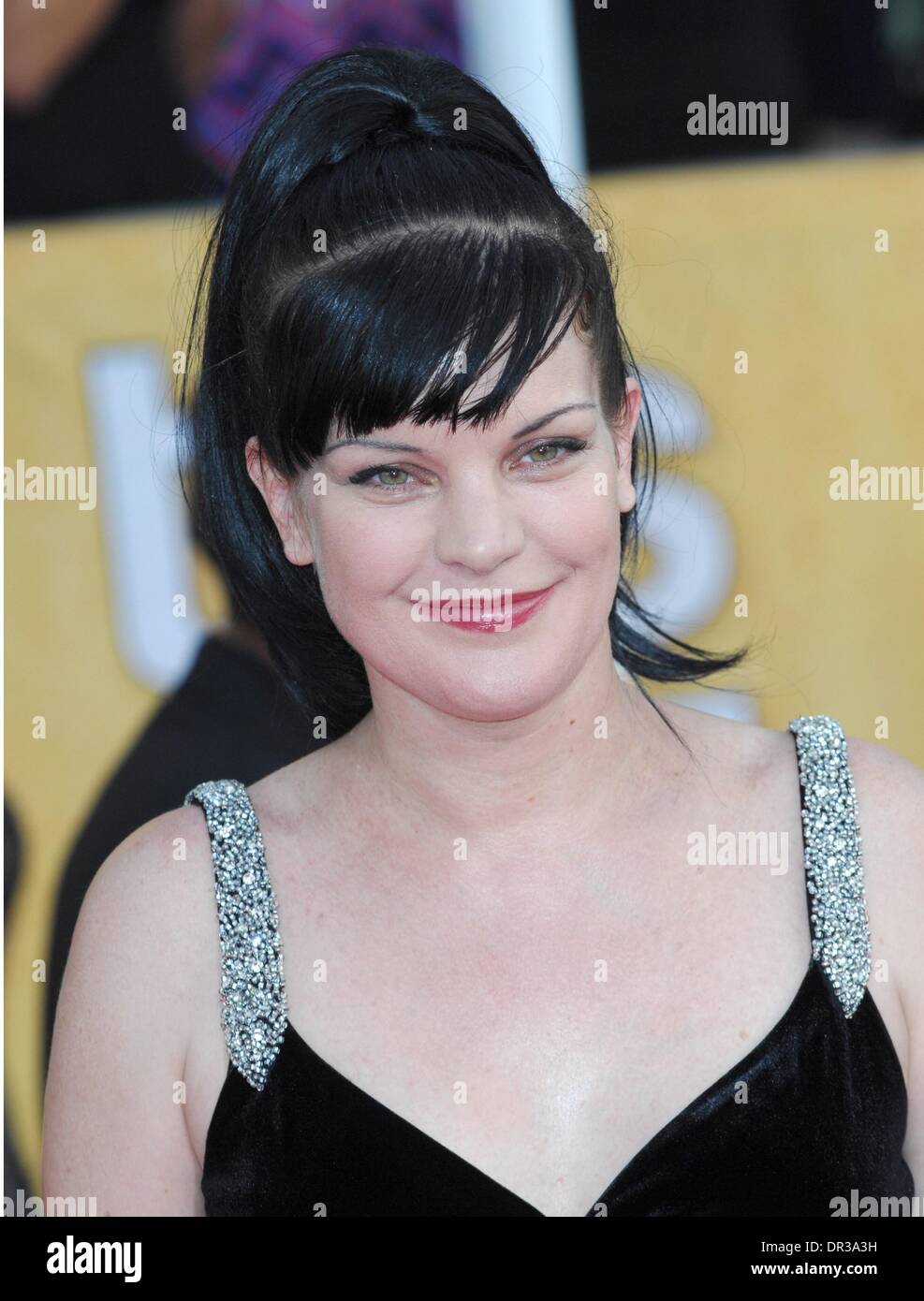 Los Angeles, CA, USA. 18th Jan, 2014. Pauley Perrette at arrivals for ...