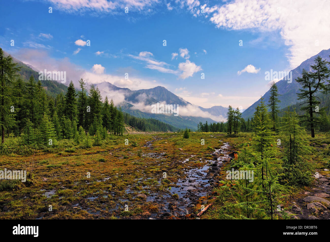 Small marshy meadow in the valley of a mountain river. Eastern Sayan ...