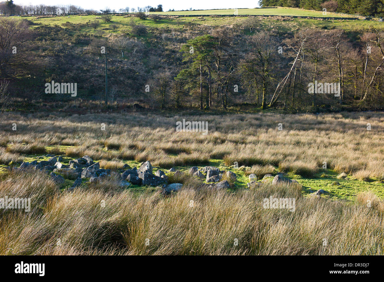 West Dart river valley and Beardown Hill near Two Bridges, Dartmoor ...