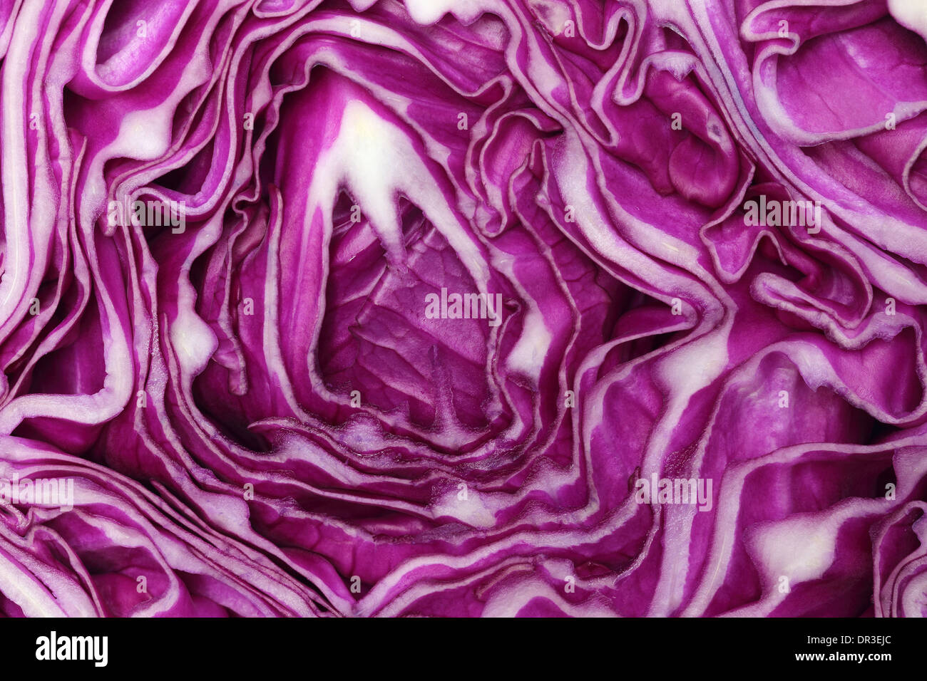 Cross section of a red cabbage background Stock Photo - Alamy