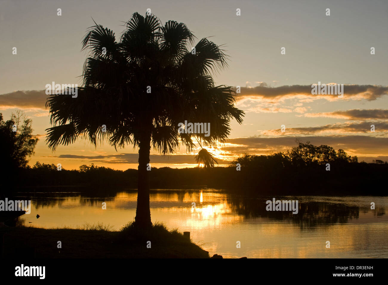 Myall lakes national park hi-res stock photography and images - Alamy