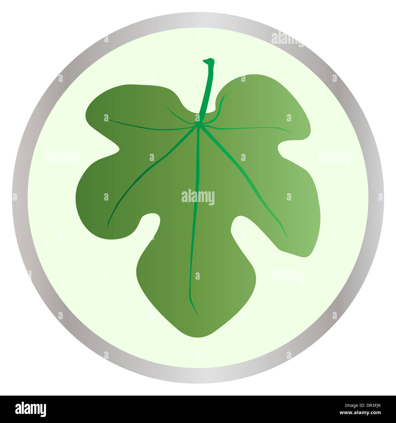 Adam fig leaf hi-res stock photography and images - Alamy