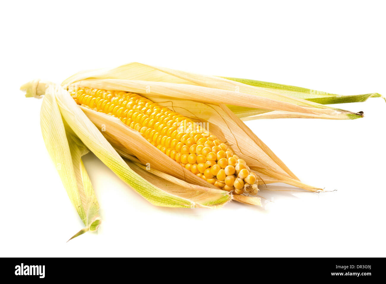 Corn cobs isolated on white background Stock Photo - Alamy