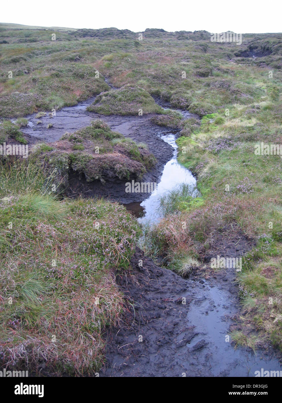 Severn river wales hi-res stock photography and images - Alamy