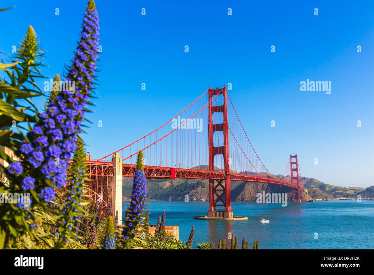 Golden gate bridge flowers hi-res stock photography and images - Alamy