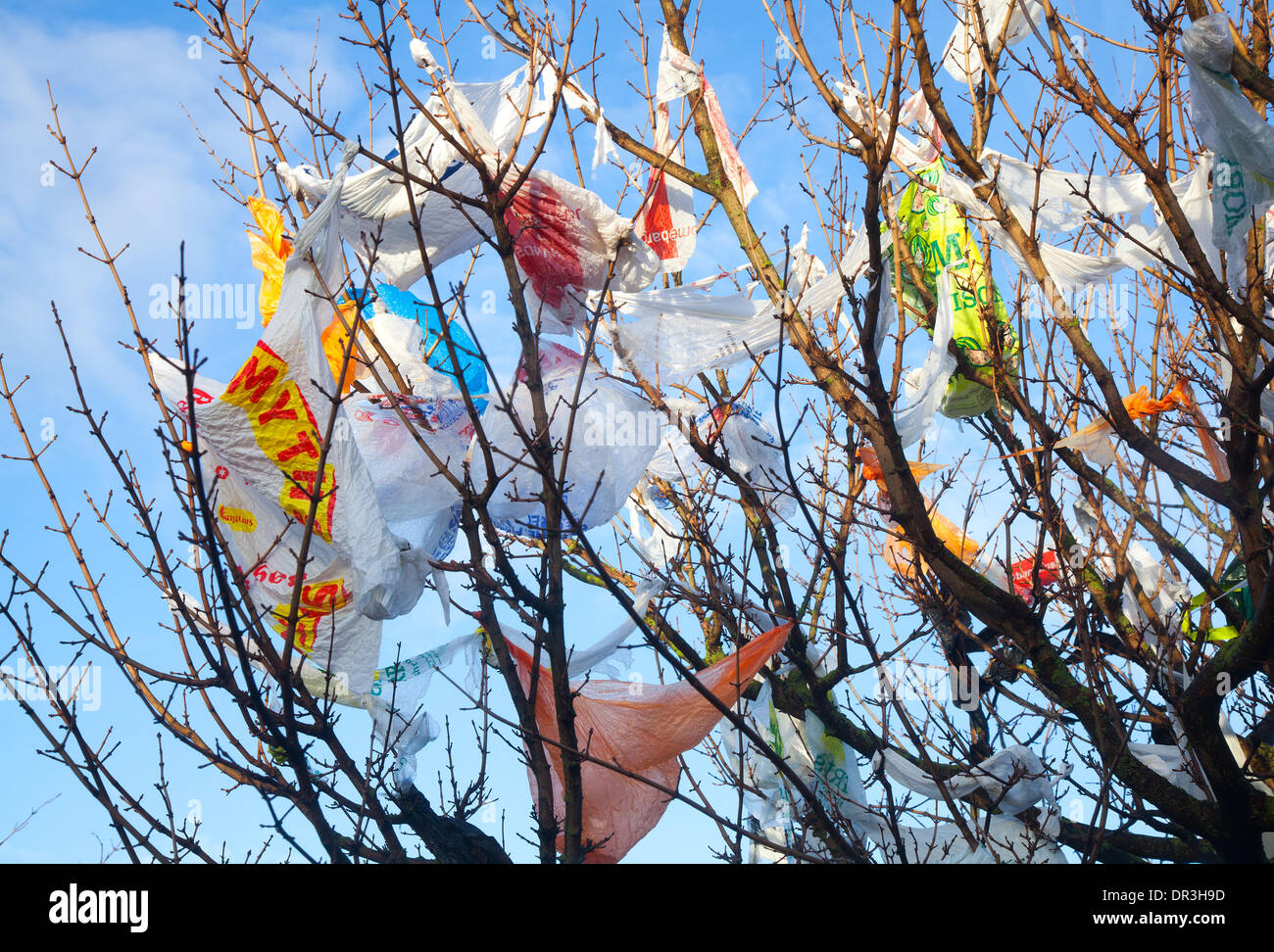Plastic Bags Hanging High Resolution Stock Photography and Images - Alamy