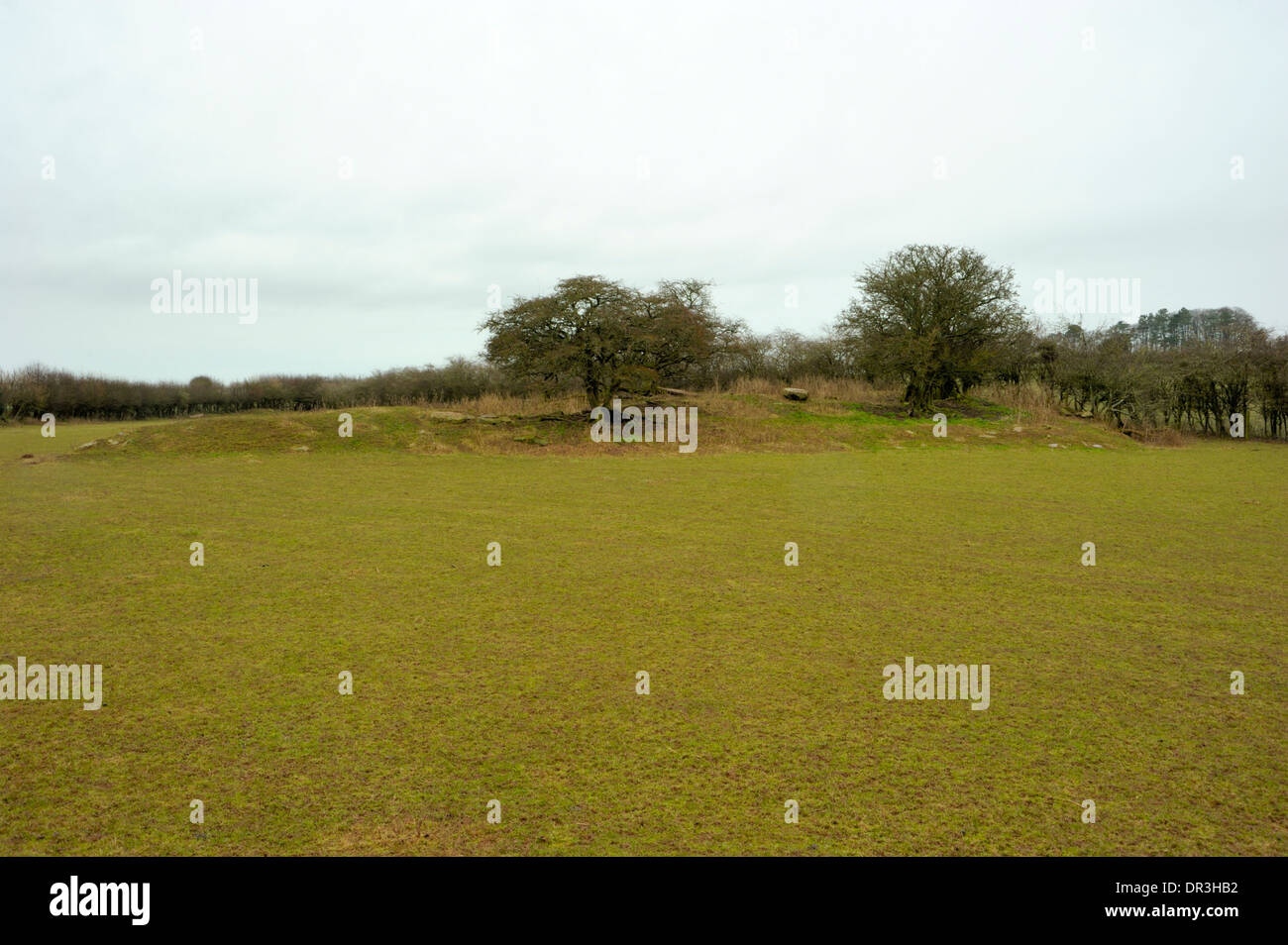 Long Barrow at Ffostyll Stock Photo - Alamy