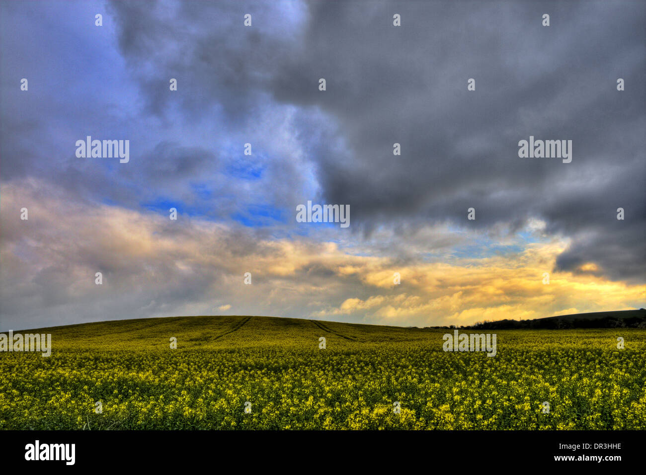Hamilton oil field hi-res stock photography and images - Alamy