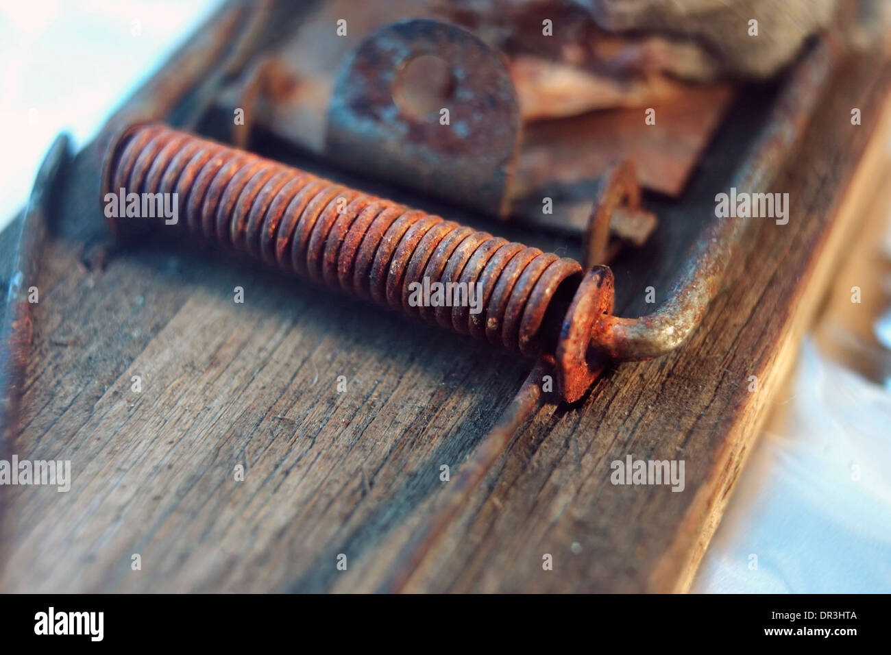 Metal spring trap hi-res stock photography and images - Alamy