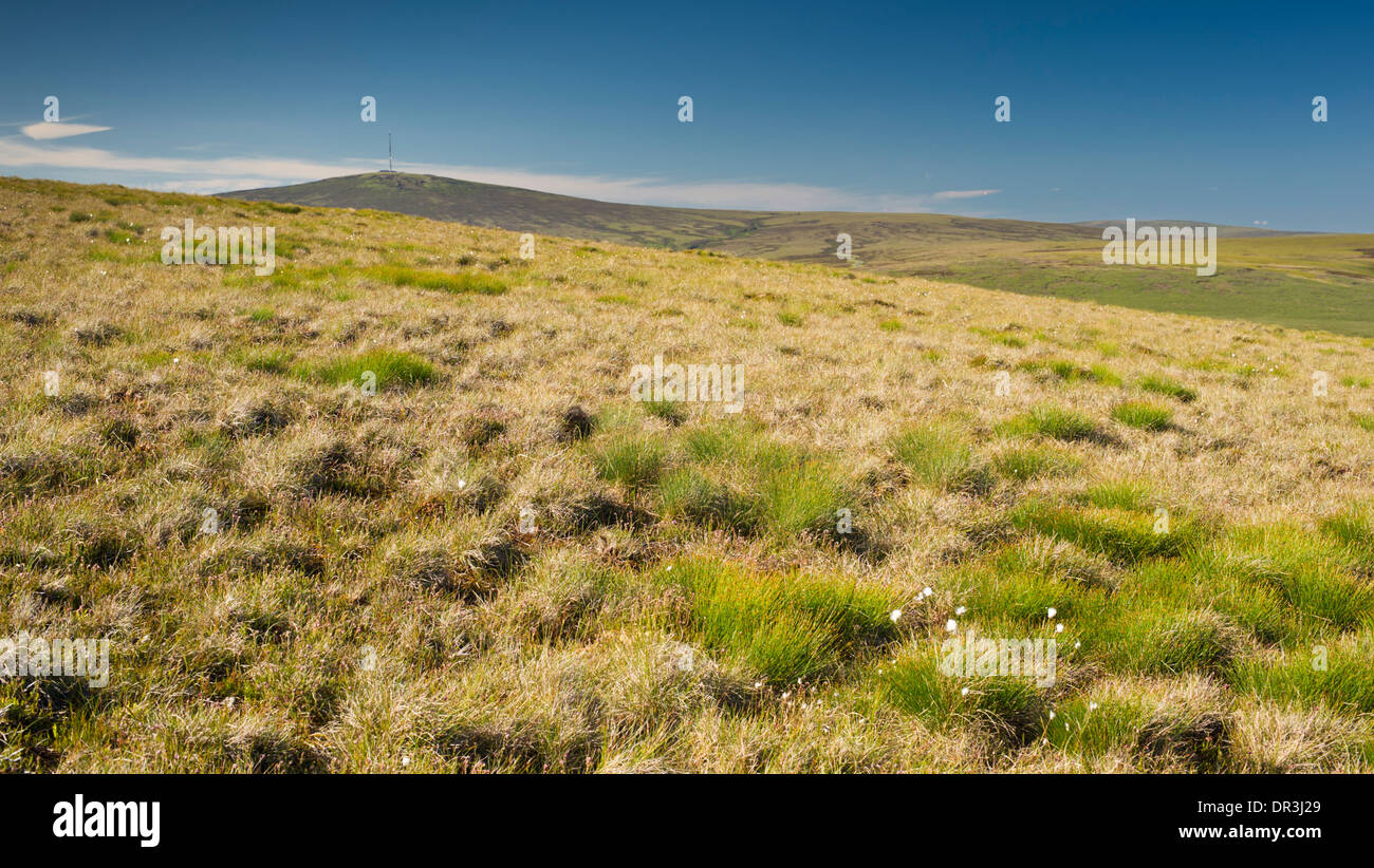 View towards Kippure Mountain across bogland near Sally Gap, County ...