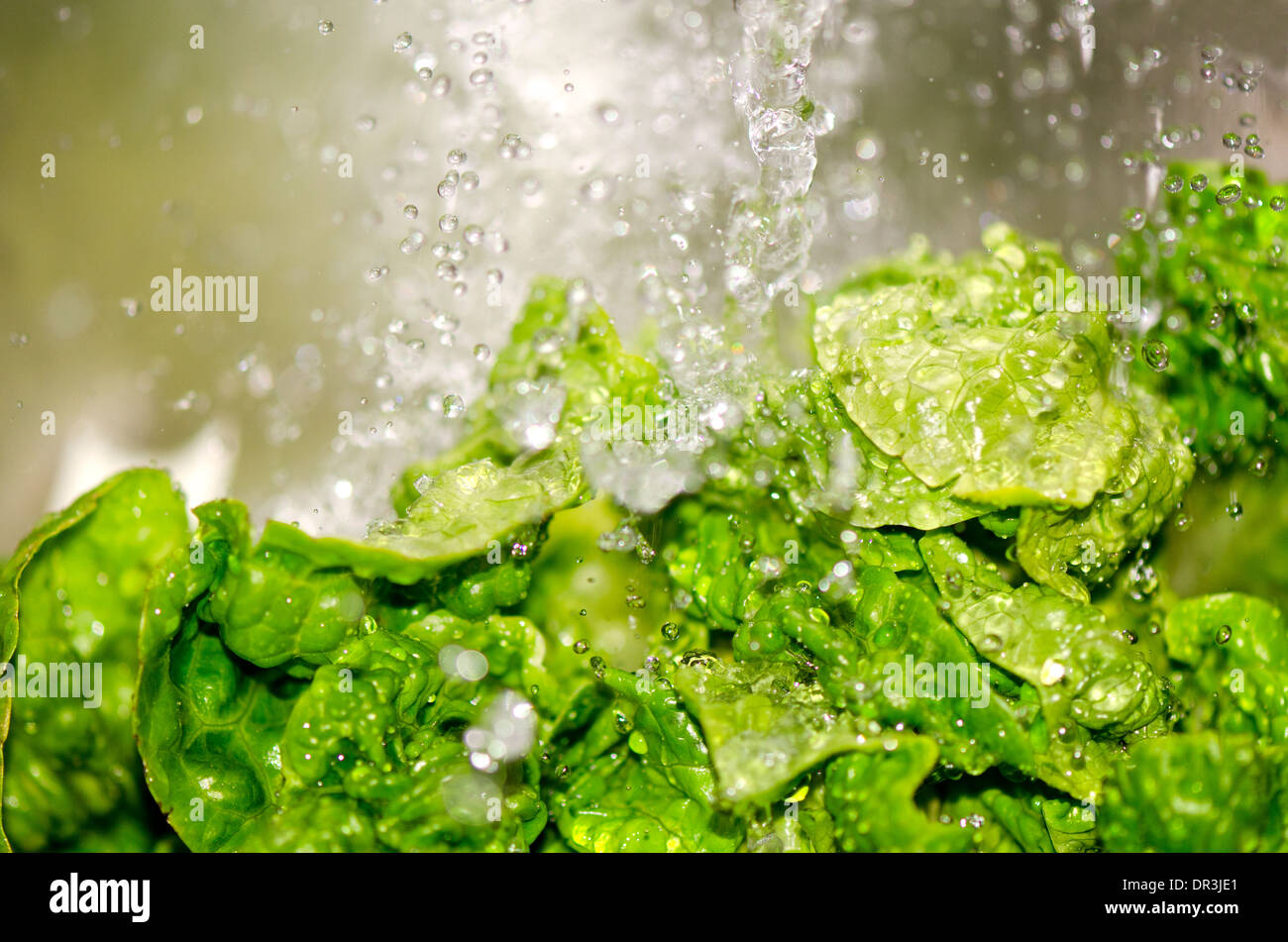 Washed salad hi-res stock photography and images - Alamy