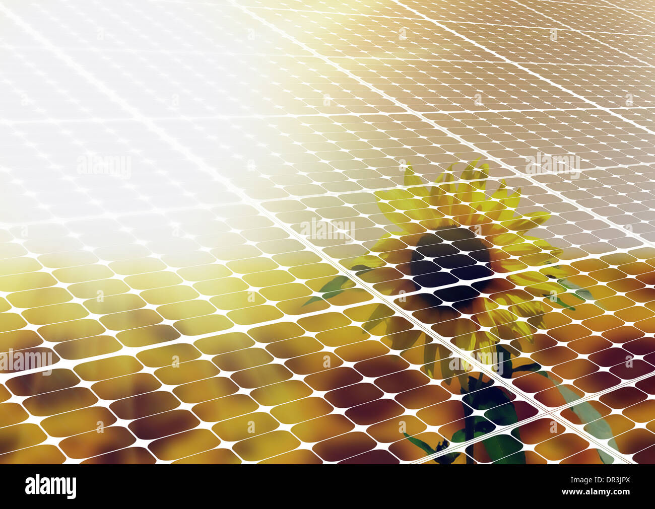 sunflower and solar panel Stock Photo - Alamy