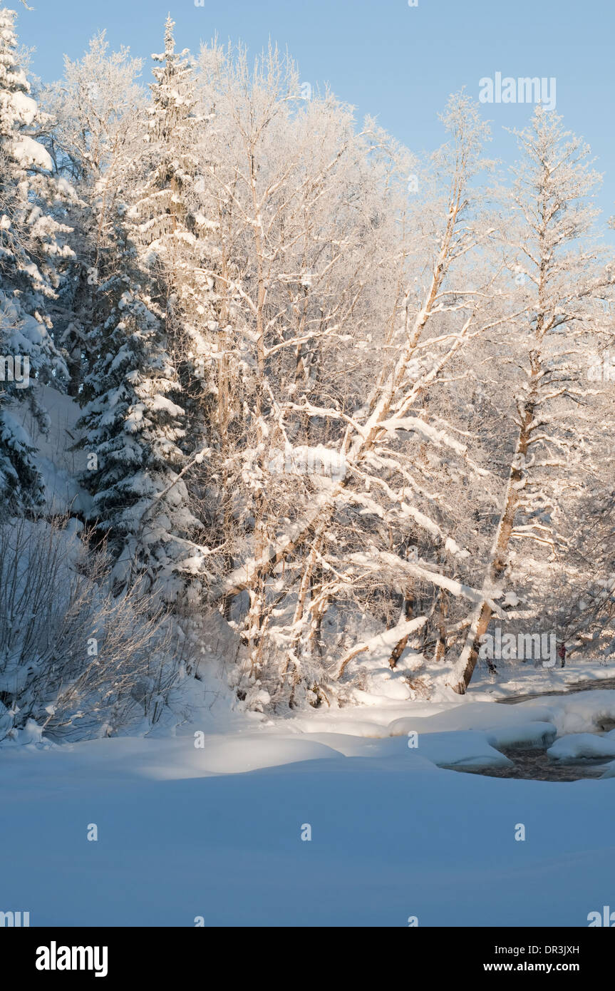 Landscape with froen trees Stock Photo - Alamy