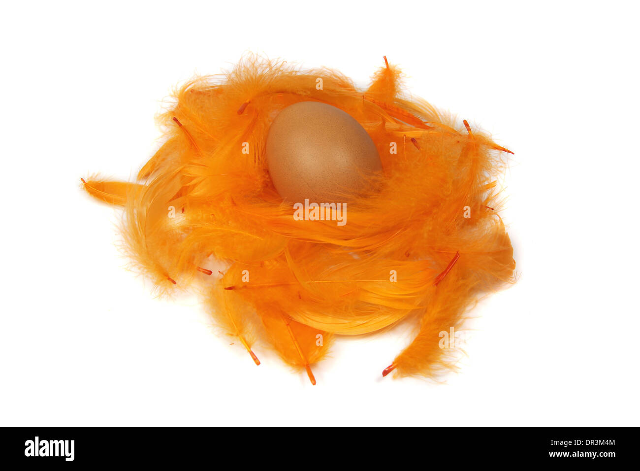 egg in an orange feathers nest Stock Photo - Alamy