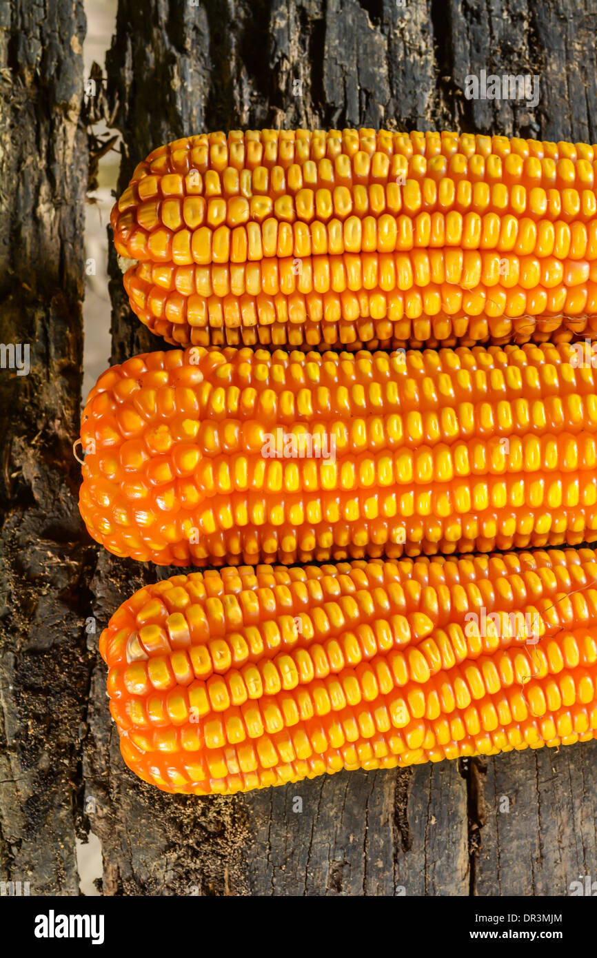 Three corn hi-res stock photography and images - Alamy