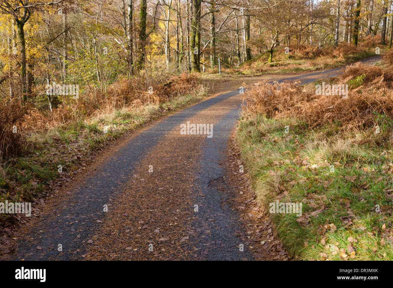 Road hogs hi-res stock photography and images - Alamy