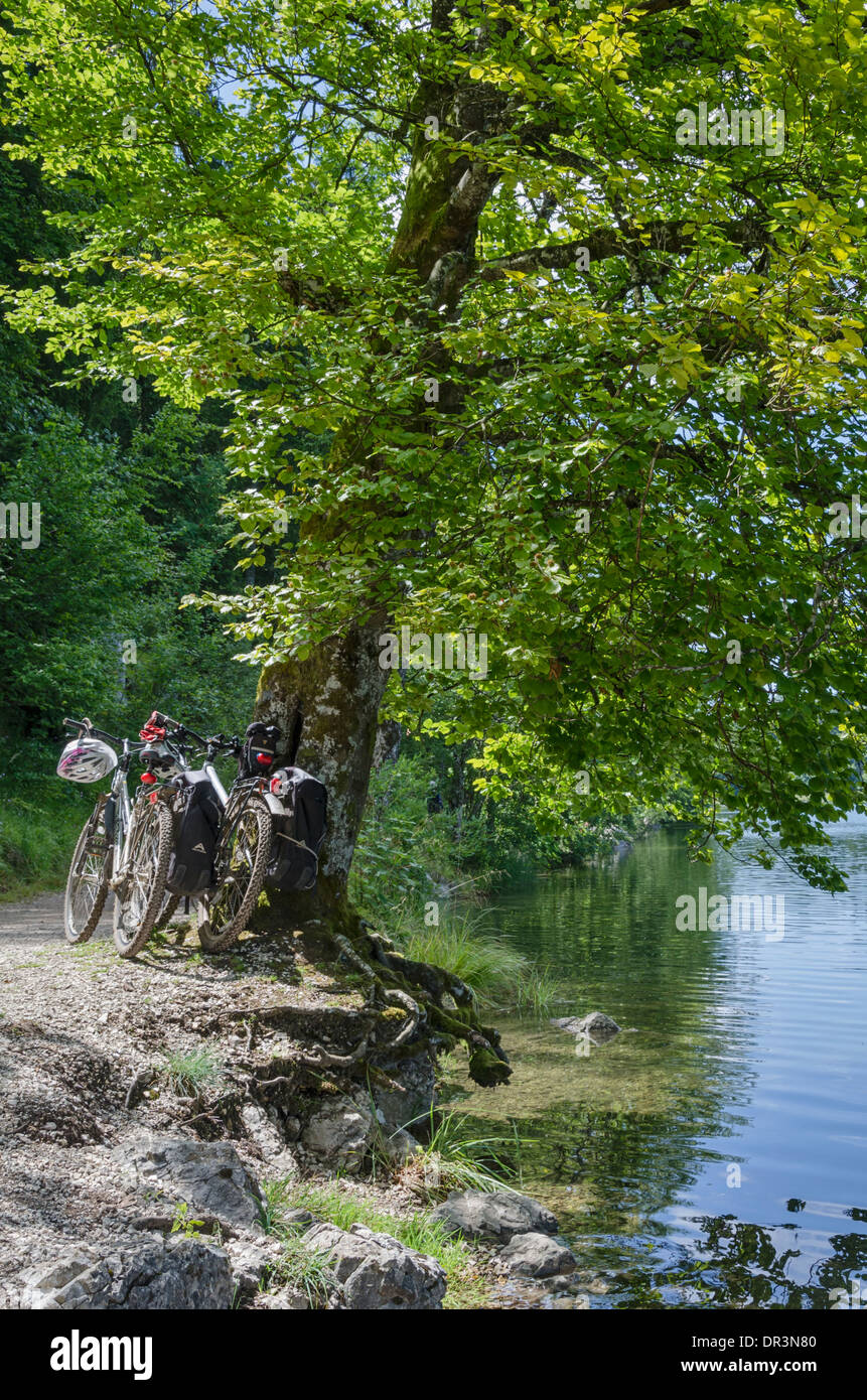 Two bikes against a tree by the track, on the shore of the Lac du Petit ...