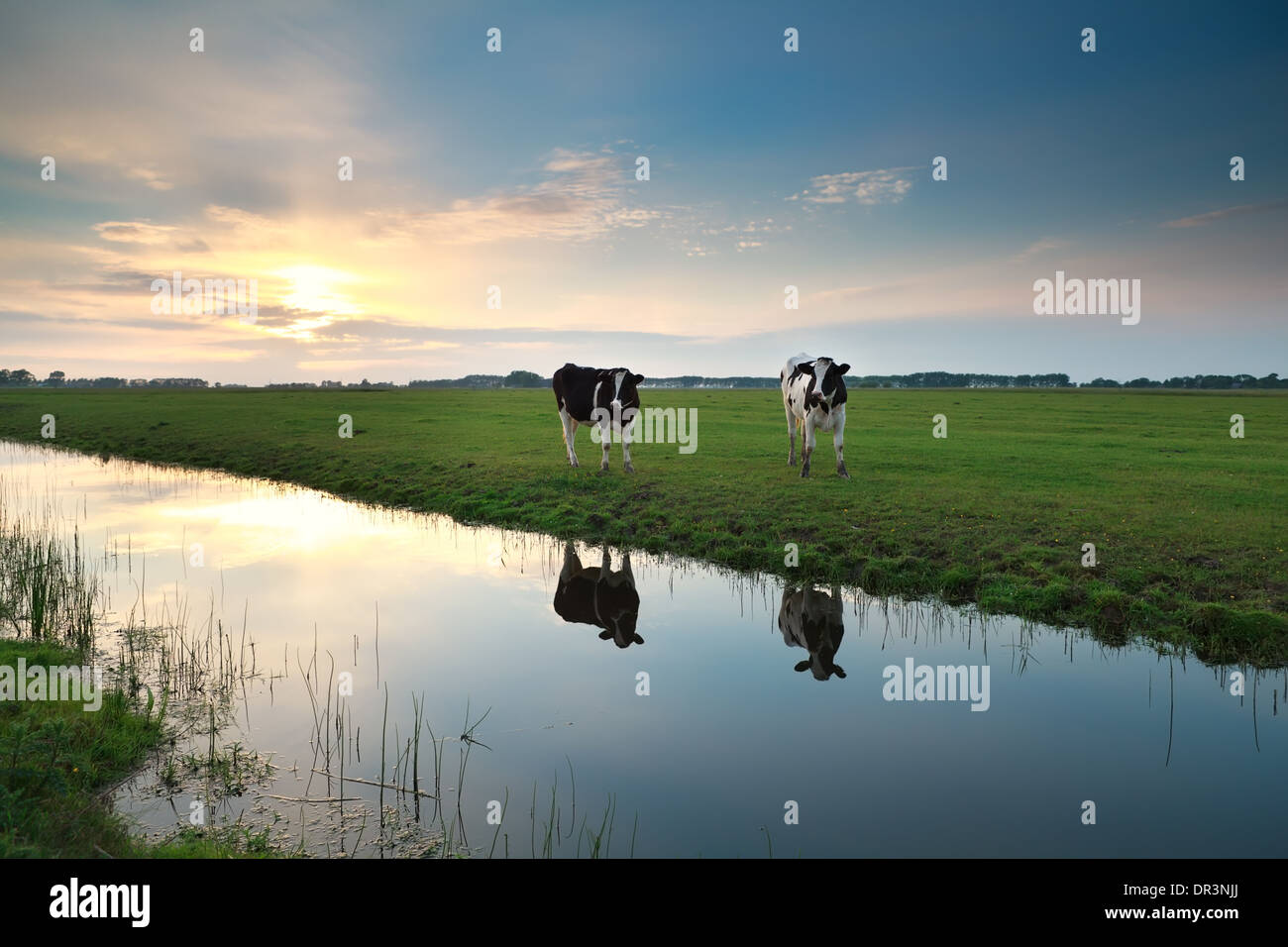 Pasture river hi-res stock photography and images - Alamy